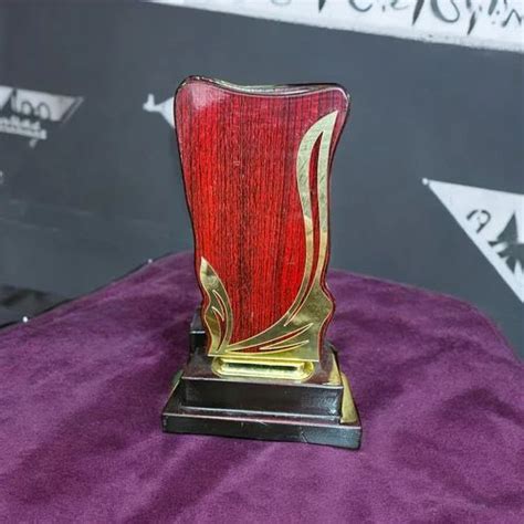 Small Wooden Trophy Size 9 Inch At ₹ 249piece In New Delhi Id
