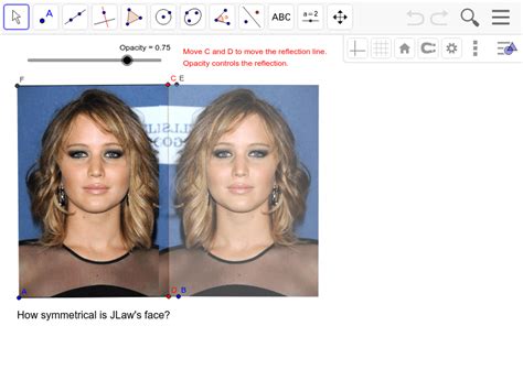 Face Symmetry GeoGebra