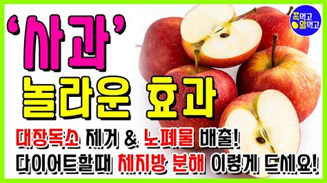 [사과의 놀라운 효능 8가지 And 부작용] 비만 억제 숙변 배출 살 빠지는 사과 이렇게 드세요 항산화 보물창고 당뇨 심장 폐건강에 좋은 사과 껍질 농약 씻는 법