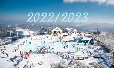 2022 2023 전국 스키장 개장일 총정리 및 스키 시즌권 혜택 관련 정보 하이원 리조트 비발디파크 휘닉스 평창 네이버 블로그