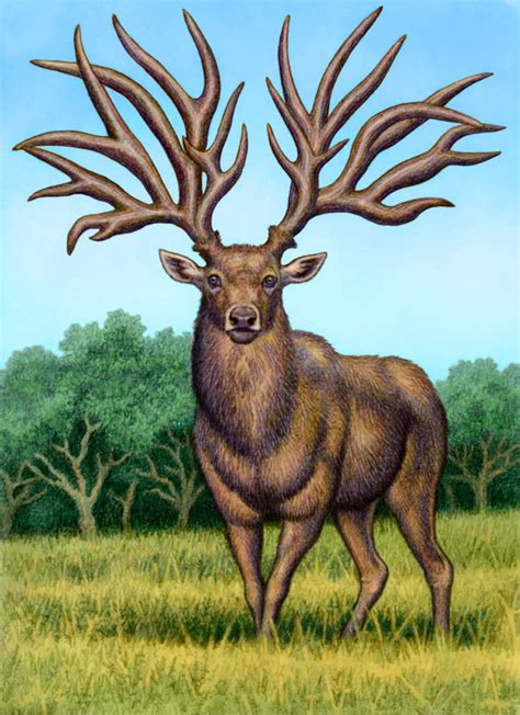 Eucladoceros 🦤 Вимерлий світ