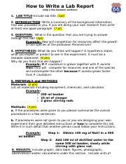 HPIAM Babe LAB REPORT FORMAT Docx How To Write A Lab Report Skip A Line Between Sections 1