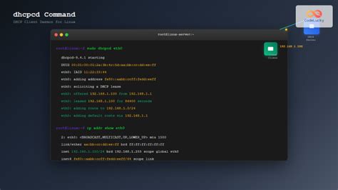 Dhclient Command Linux Complete Guide To Dynamic Host Configuration Protocol Client Codelucky