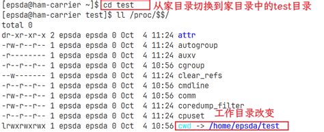 Linux命令行与环境变量 Csdn博客 Linux命令行与环境变量 Csdn博客