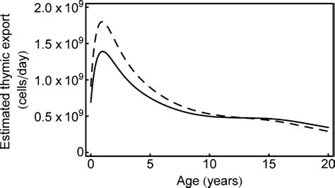 Thymic Export Calculated Under The Assumption That Frequency Of Trecs