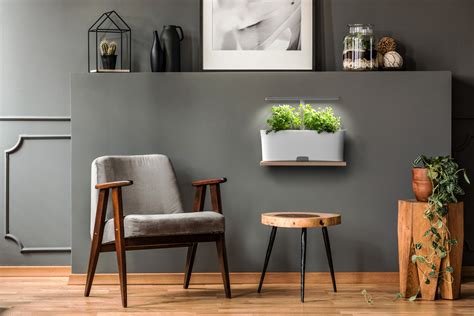 Botanium Quick Success Without The Need For Green Thumbs Botanium Ab