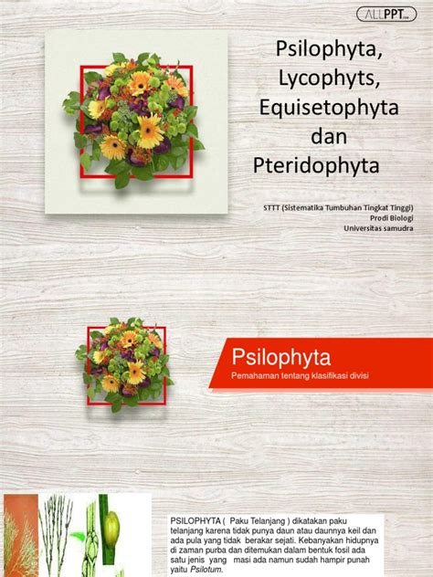 Klasifikasi Divisi Pteridophyta Pdf