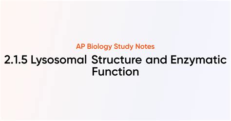 Lysosomal Structure And Enzymatic Function 215 Ap Biology Notes