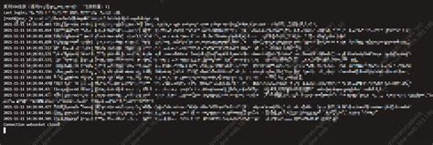 [bug] v2 15 3使用web终端出现connection websocket closed · issue 7171