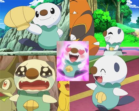 Pokemon Ash Catches Oshawott At Phoebe Reddall Blog