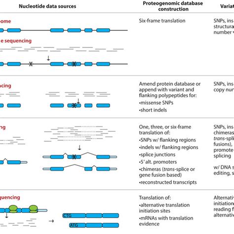 Schematic Of The Sources Of Nucleotide Data For Proteogenomics Download Scientific Diagram