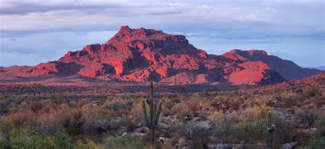 Unbelievable Pool Party Views Mesa Az Off Site Peerspace