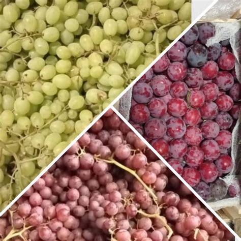 Доставка фруктов в офис