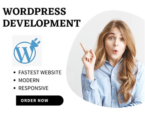 wordpress website professional responsive and seo friendly by v2k225