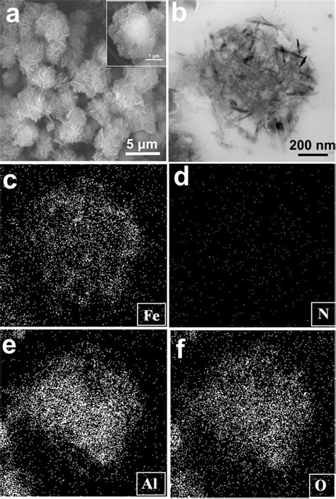 Sem A Tem B Edx Mapping Showing The Distribution Of Iron C