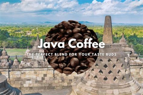 java coffee the perfect blend for your taste buds helena coffee vietnam