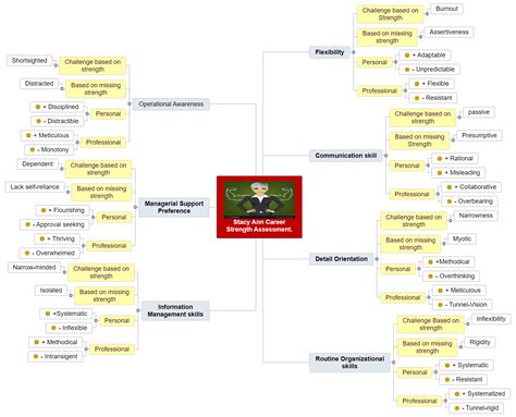 Stacy Ann Career Strength Assessment 5442 Mindview Mind Mapping Software