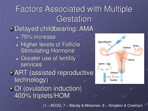 Ppt Multiple Gestation Powerpoint Presentation Free Download Id