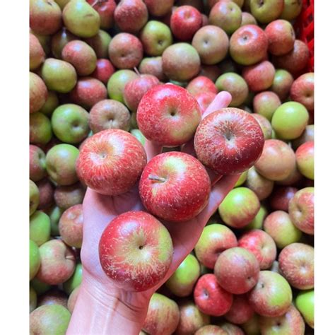 Jual Apel Rome Beauty Cherry Mini 1kg Isi 24 30 Buah Apel Malang