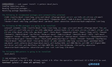 详细指南：如何在 linux 中安装 development tools 开发工具 系统极客