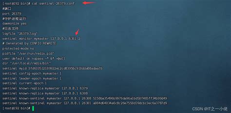 Redis的哨兵监控模式用法redis Sentinel Monitor Csdn博客