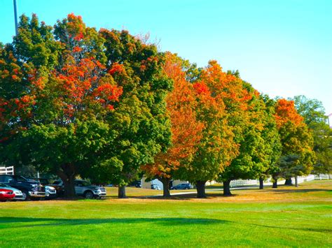 Tom Derrickson Tom Derrickson Added A New Photo