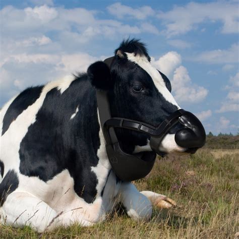 Jony Ives 10 Most Revolutionary Designs For Apple