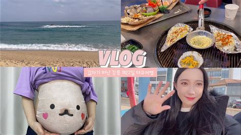 VLOG 임신 주차 임산부 브이로그강릉 박 일 태교여행계획없이 떠나는 강릉여행강릉맛집 순두부젤라또 금천장칼국수 피터콤마 다이닝조개 테라로사 YouTube