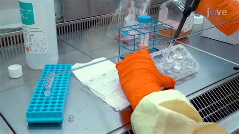 Video Flow Cytometry Staining Of Mycobacterium Tuberculosis Infected