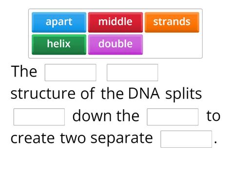 Protein Synthesis Cloze Exercise Complete The Sentence