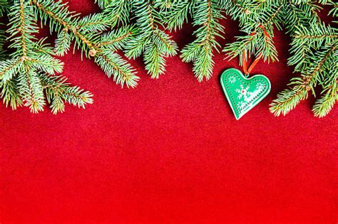 크리스마스와 새해 카드에 대한 소나무 가지와 아늑한 자연 배경 0명에 대한 스톡 사진 및 기타 이미지 0명 겨울 계절 Istock