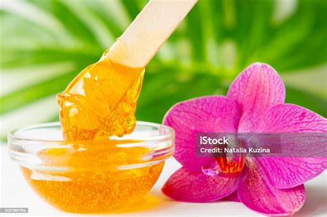 머리 제거를위한 설탕 페이스트 또는 왁스 꿀나무 왁싱 주걱 스틱에서 아래로 흐른다 꽃 배경 제모 및 뷰티 개념 난과 식물에 대한