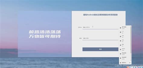 社交媒体数据分析系统的设计与实现小程序 爬虫可视化大屏媒体qq58850198 永洪数据分析社区