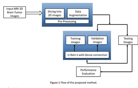 Figure 1 From Brain Tumor Segmentation Using U Net With Dense