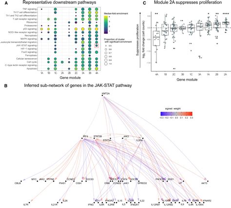 Gene Regulatory Network Inference From Crispr Perturbations In Primary Cd4 T Cells Elucidates