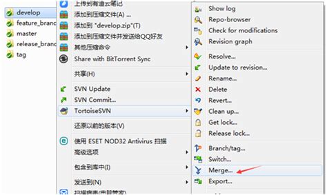 svn svn合并 merge 与拉取分支 branch tag 操作简介 腾讯云开发者社区 腾讯云