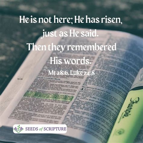 Understanding Jesus Resurrection Why The Women Worshiped Seeds Of