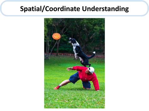 Mm React Prompting Chatgpt For Multimodal Reasoning And Action