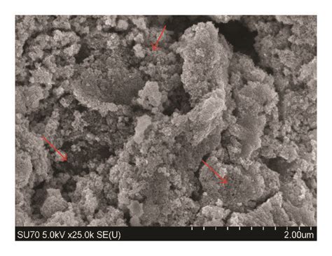 Sem Micrographs Of A B Fes Nanoparticles Trapped By Aspergillus Download Scientific Diagram