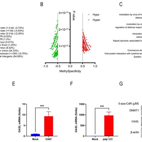 Oxford Nanopore Technologies Sequencing Screened Demethylated Genes Download Scientific