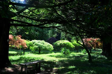 ბათუმის ბოტანიკური ბაღი როგორ მივიდეთ რეკომენდაციები და ბილეთების ფასი ინფო ბათუმი