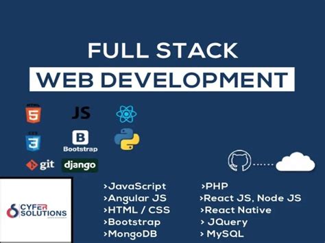 A Professional Full Stack Web Developer Upwork