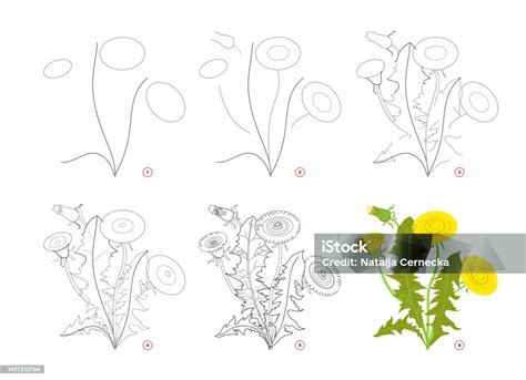 페이지는 장난감 민들레를 단계별로 그리는 법을 배우는 방법을 보여줍니다 아이들의 그림 그리기 및 색칠 기술 개발 아이들 학교 연습 책을 위한 인쇄 가능한 워크시트 플랫 벡터