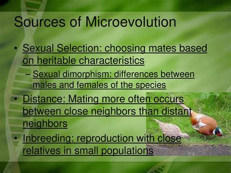 Populations Gene Pools Microevolution Ppt Download