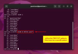 WordPress Hosting WPX Hosting