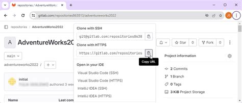Link A Sql Server Database To A Git Repository In Gitlab