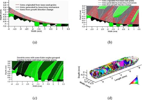 A Demonstration Of Dendrite Growth In 2d B Dendrite Lines After