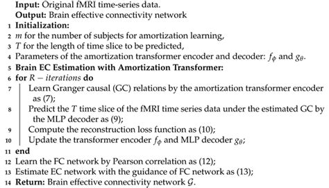 Amortization Transformer For Brain Effective Connectivity Estimation From Fmri Data