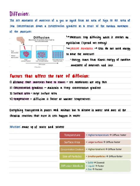 Biology Igcse Notes Pdf Osmosis Diffusion