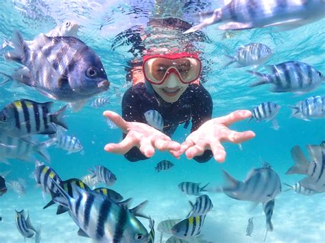 ลูกค้าท่านใดสน บ้านคุณยายโฮมสเตย์แสมสาร Grandmom Homestay Facebook